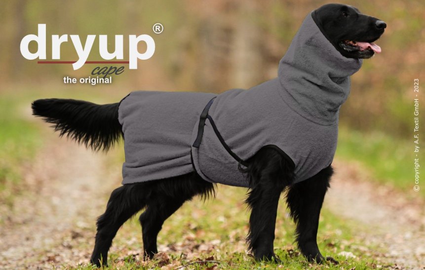 DryupⒸ Cape Standard - Anthrazit | fit4dogs.de
