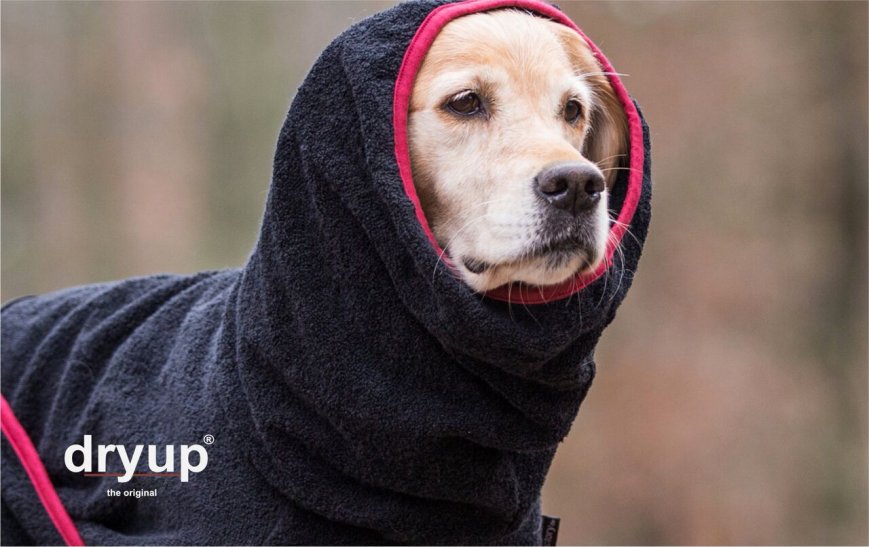 DryupⒸ Cape Standard - Black | fit4dogs.de
