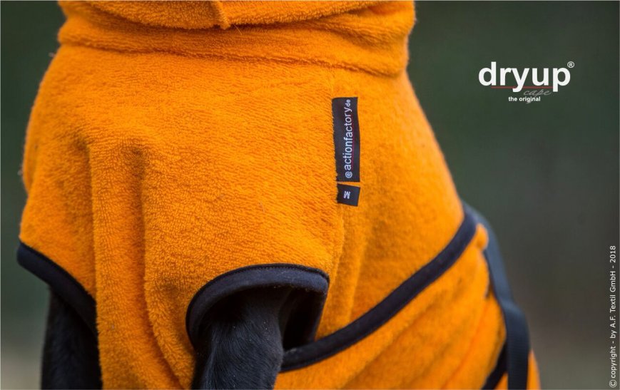 DryupⒸ Cape Standard - Clementine | fit4dogs.de