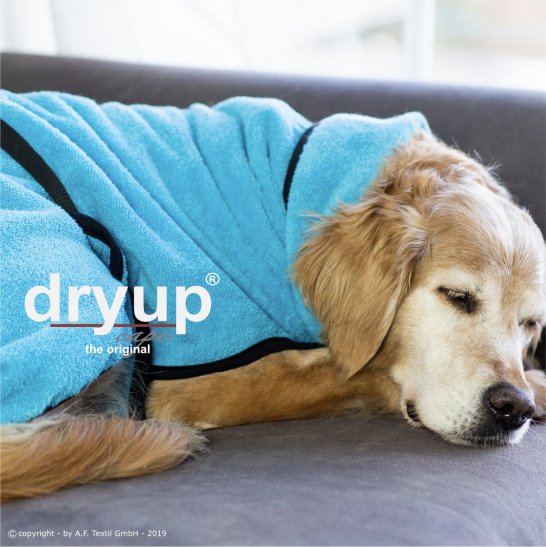 DryupⒸ Cape Standard - Cyan | fit4dogs.de