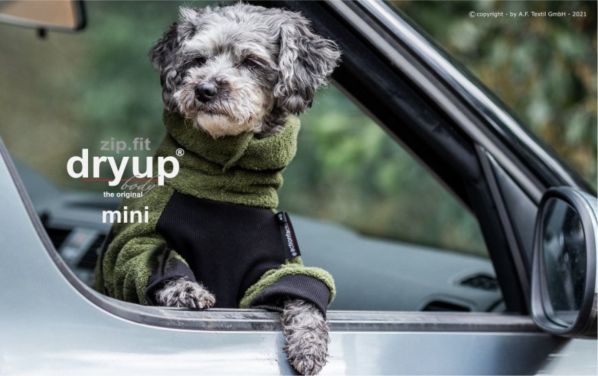 DryupⒸ Body Mini - Moos | fit4dogs.de